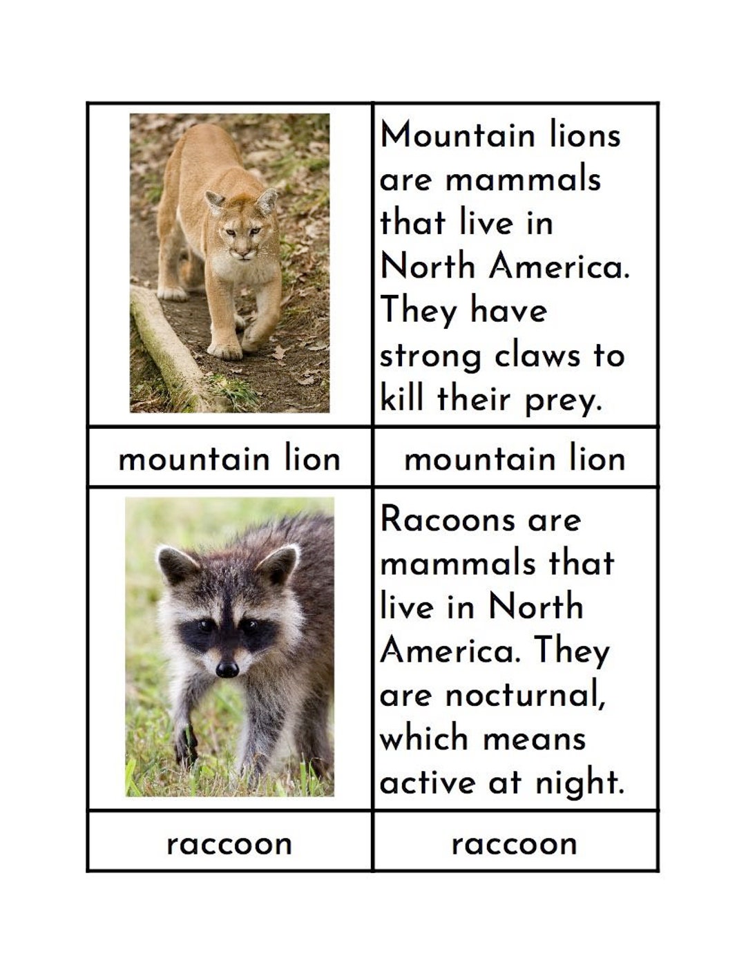 Animals of North America - Three/four Part Cards - Etsy