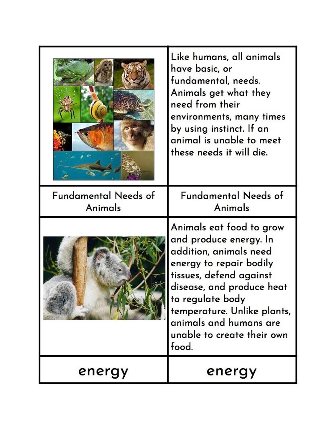 Fundamental Needs of Animals Montessori Three Part Cards - Etsy