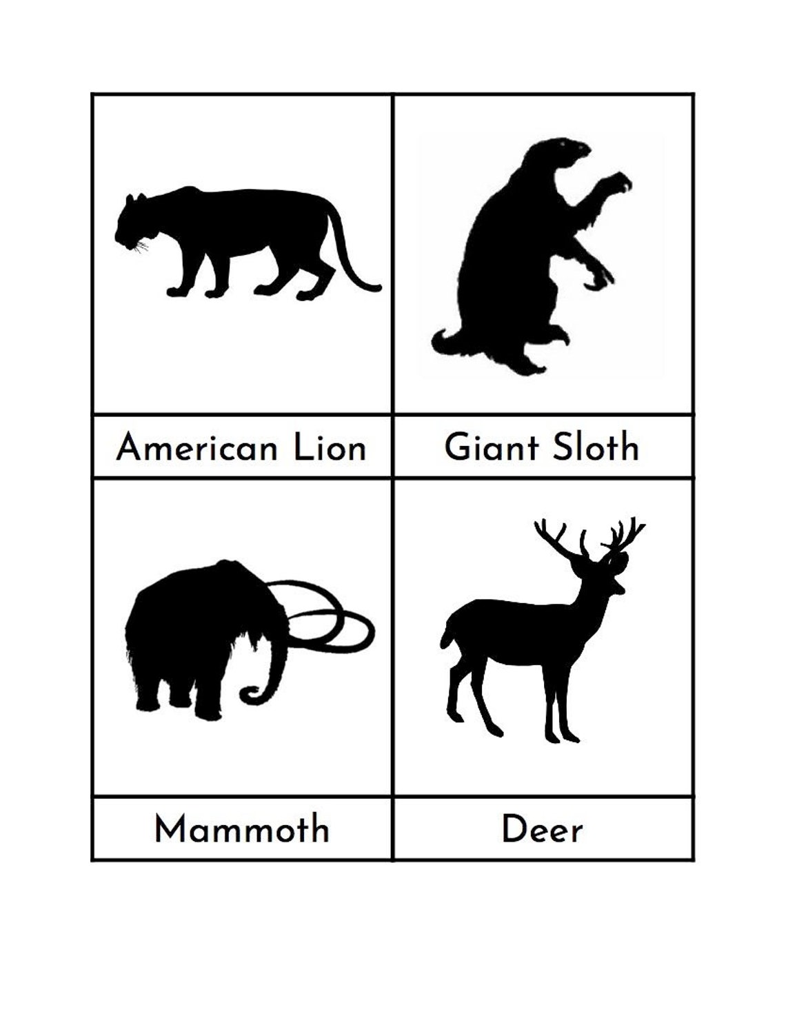 Montessori Prehistoric Food Chain Three/four Part Cards - Etsy