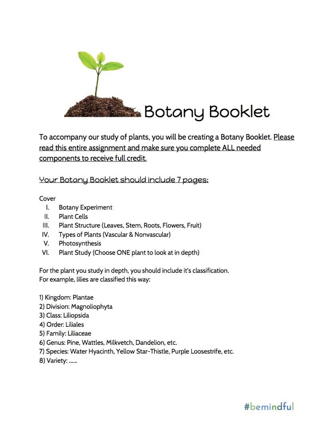 Botany Booklet Product-based Learning Packet - Etsy