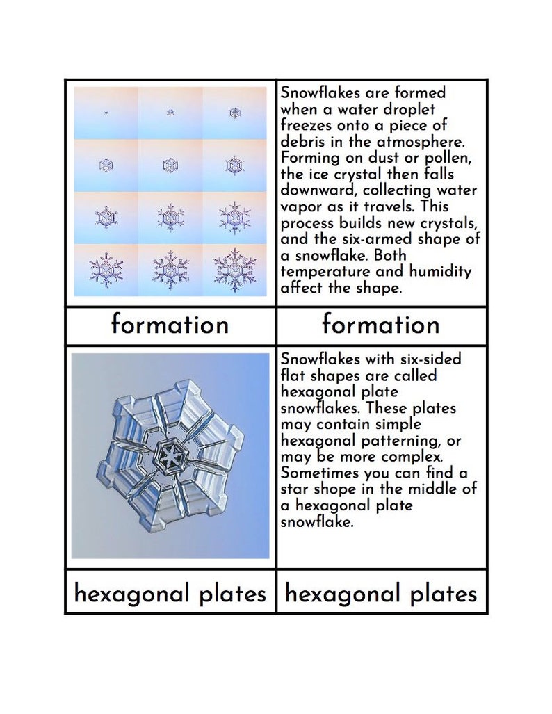 Formation and Types of Snowflakes - Montessori Three/four Part Cards - Etsy