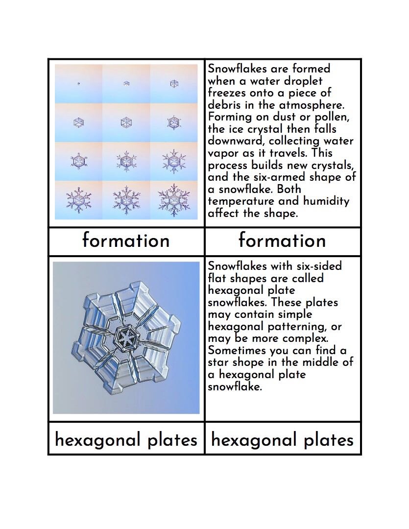 Formation and Types of Snowflakes - Montessori Three/four Part Cards - Etsy