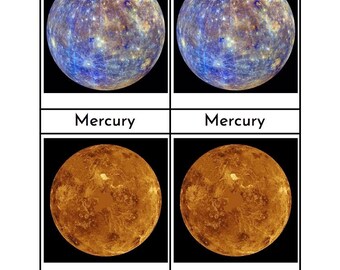 Marc Chagall Montessori Three Part Cards and Artist Bio - Etsy