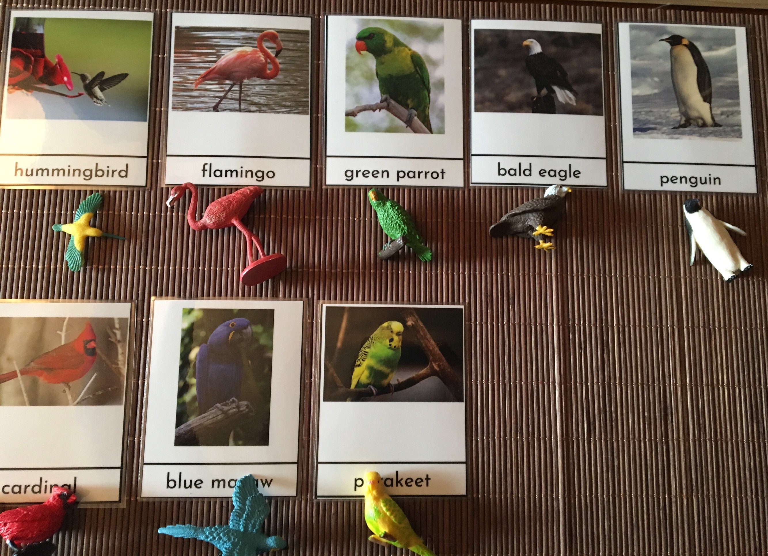 Montessori Birds Three Part Cards and Matching Objects - Etsy