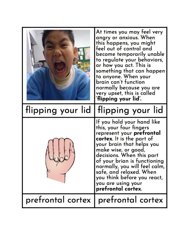 Flipping Your Lid Three.four Part Cards & Other Resources SEL - Etsy