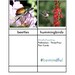 Pollinators Montessori Three/four Part Cards - Etsy