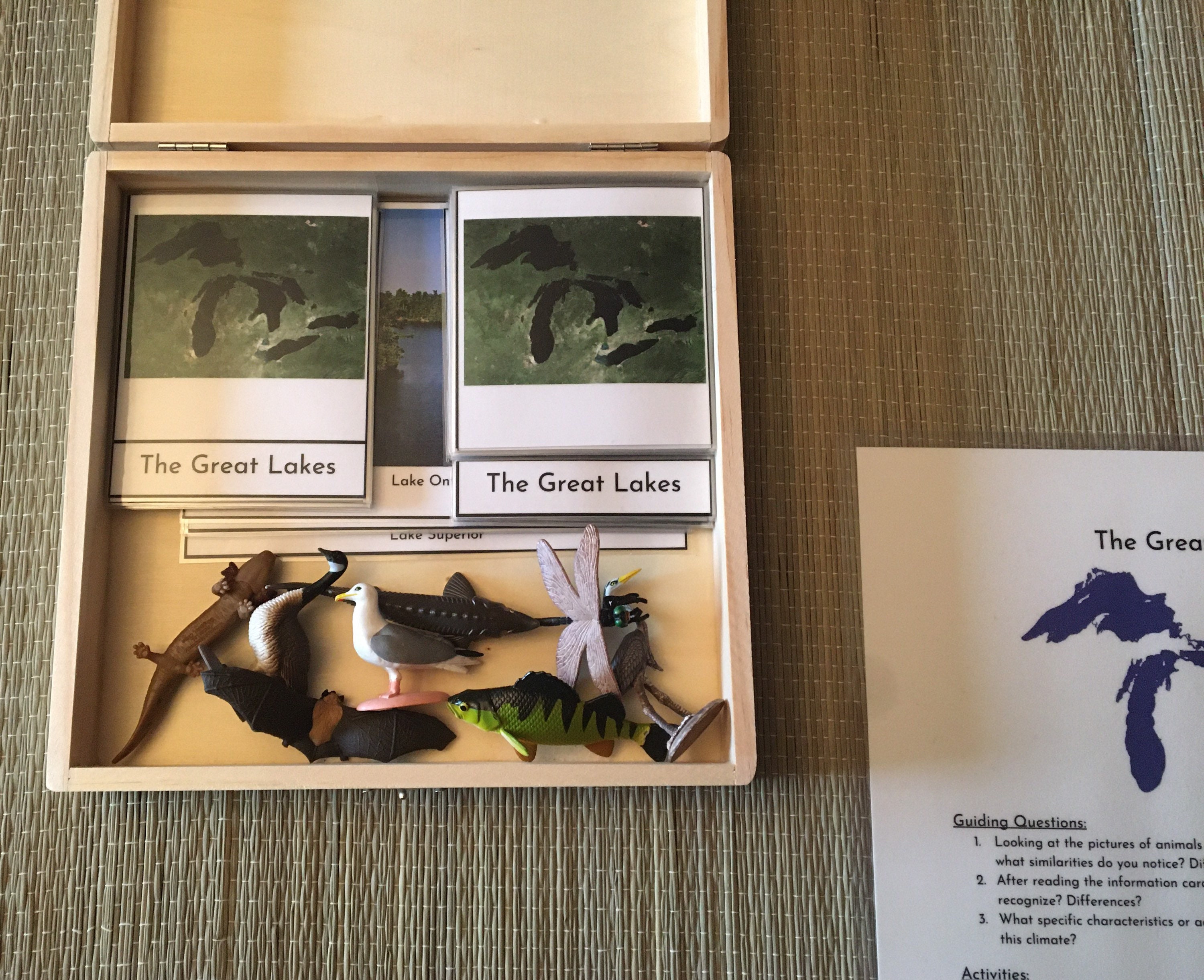 NEW Biome Box Great Lakes Objects and Three/four Part Cards - Etsy