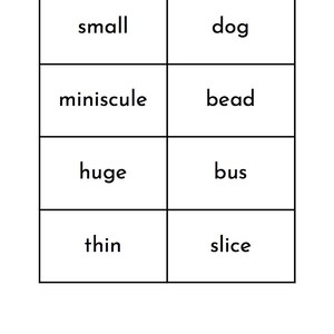 Montessori Word Study Adjectives - Etsy