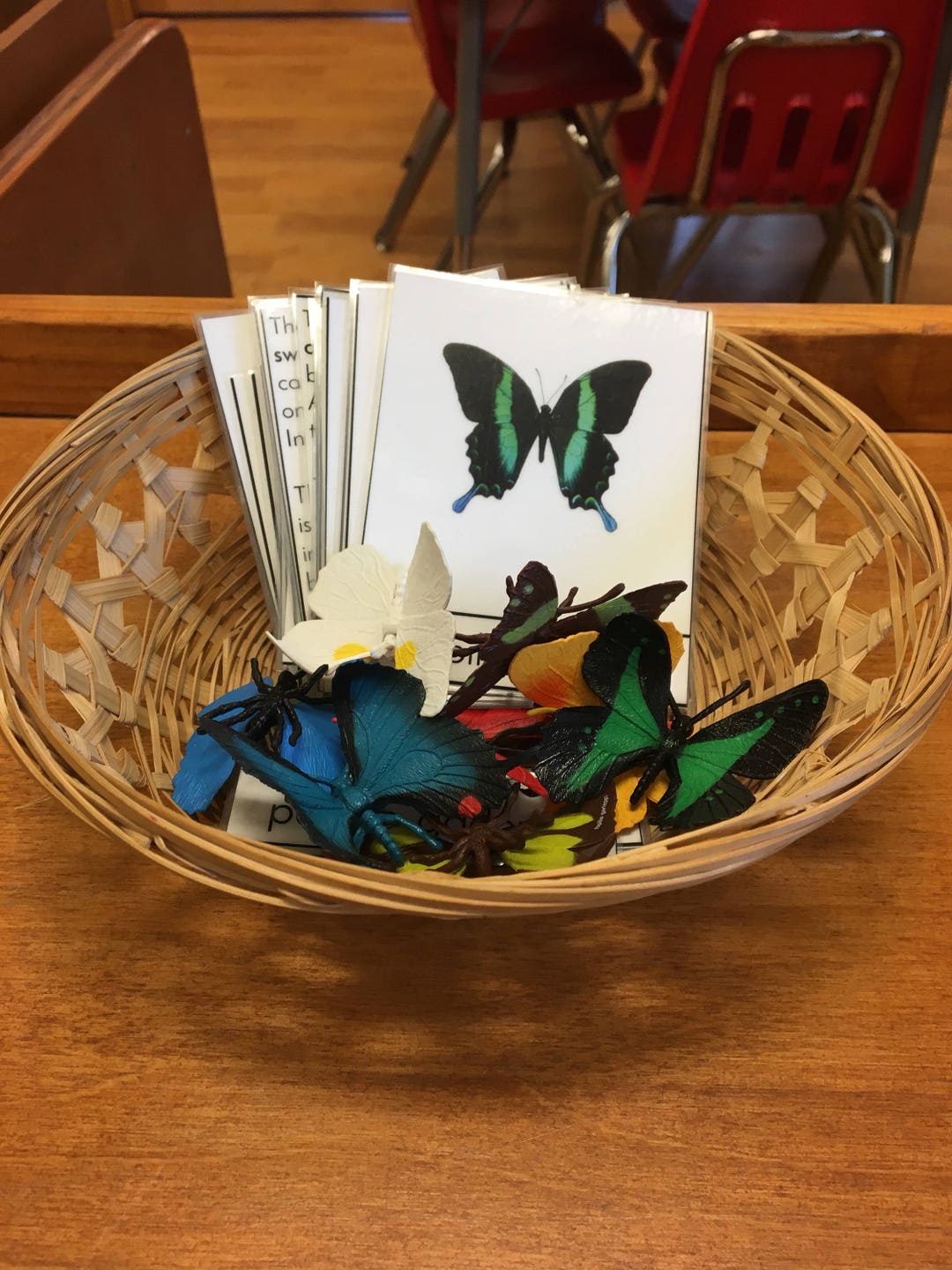 Montessori Butterflies Three/four Part Cards With Matching Objects - Etsy