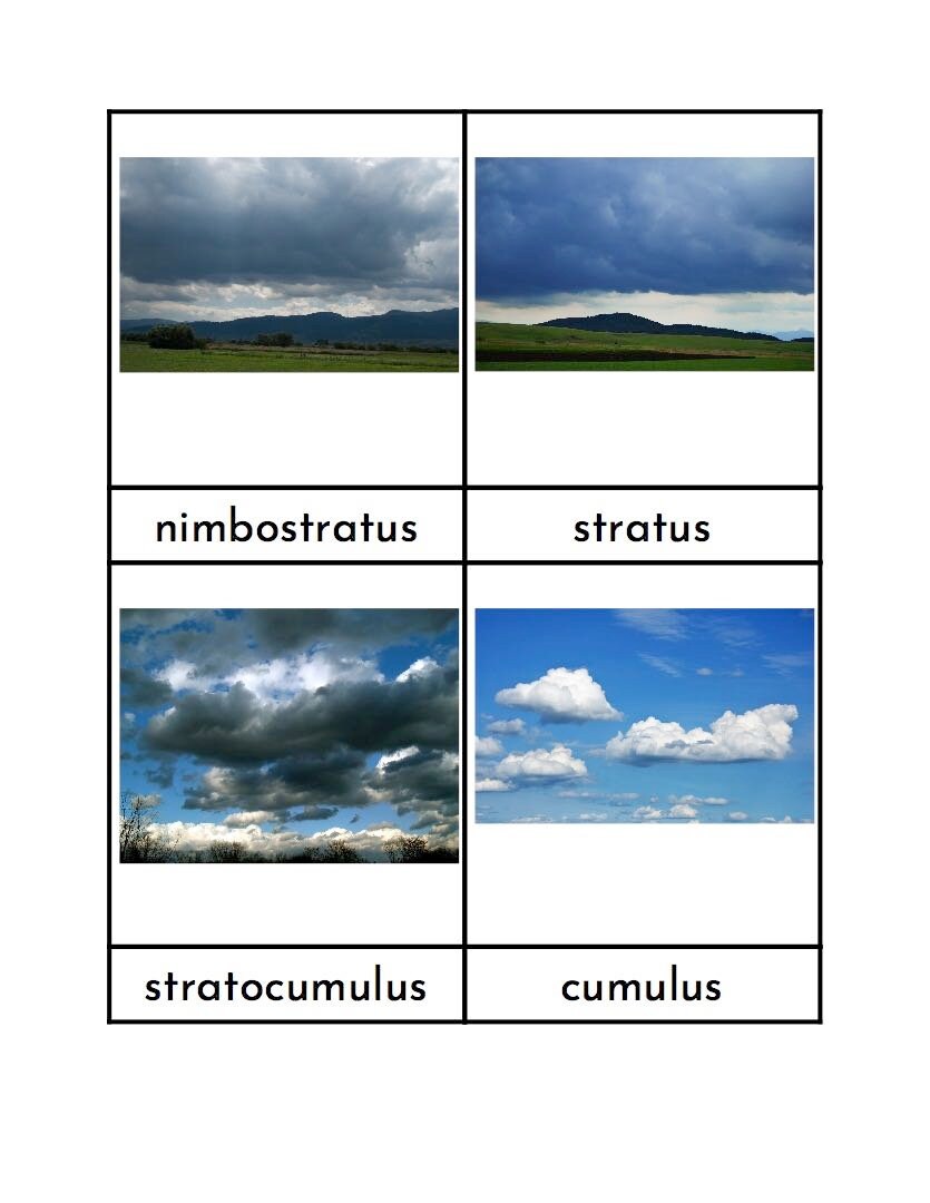 Types of Clouds Montessori Three/four Part Cards - Etsy
