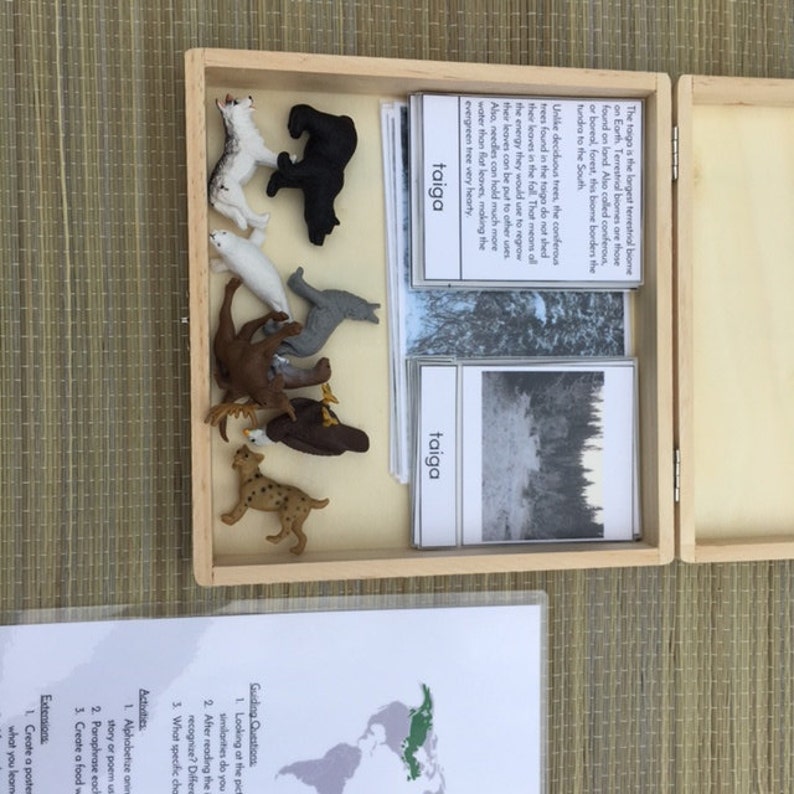 Biome Box Taiga Objects & Three/four Card Cards | Etsy