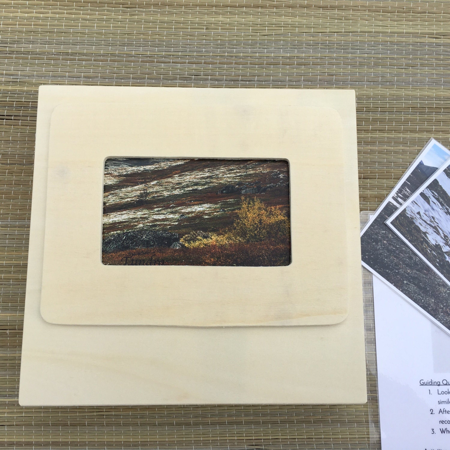 Biome Box Tundra Objects & Three/four Part Cards - Etsy