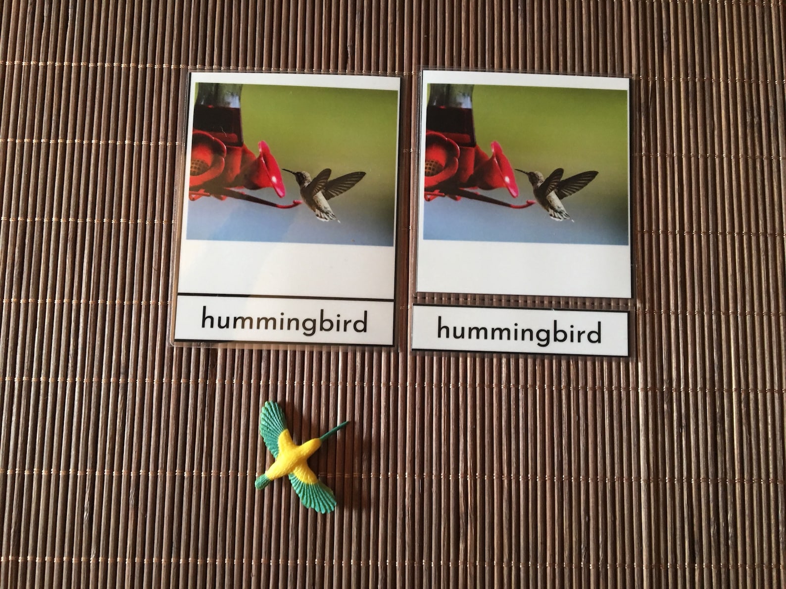 Montessori Birds Three Part Cards and Matching Objects - Etsy