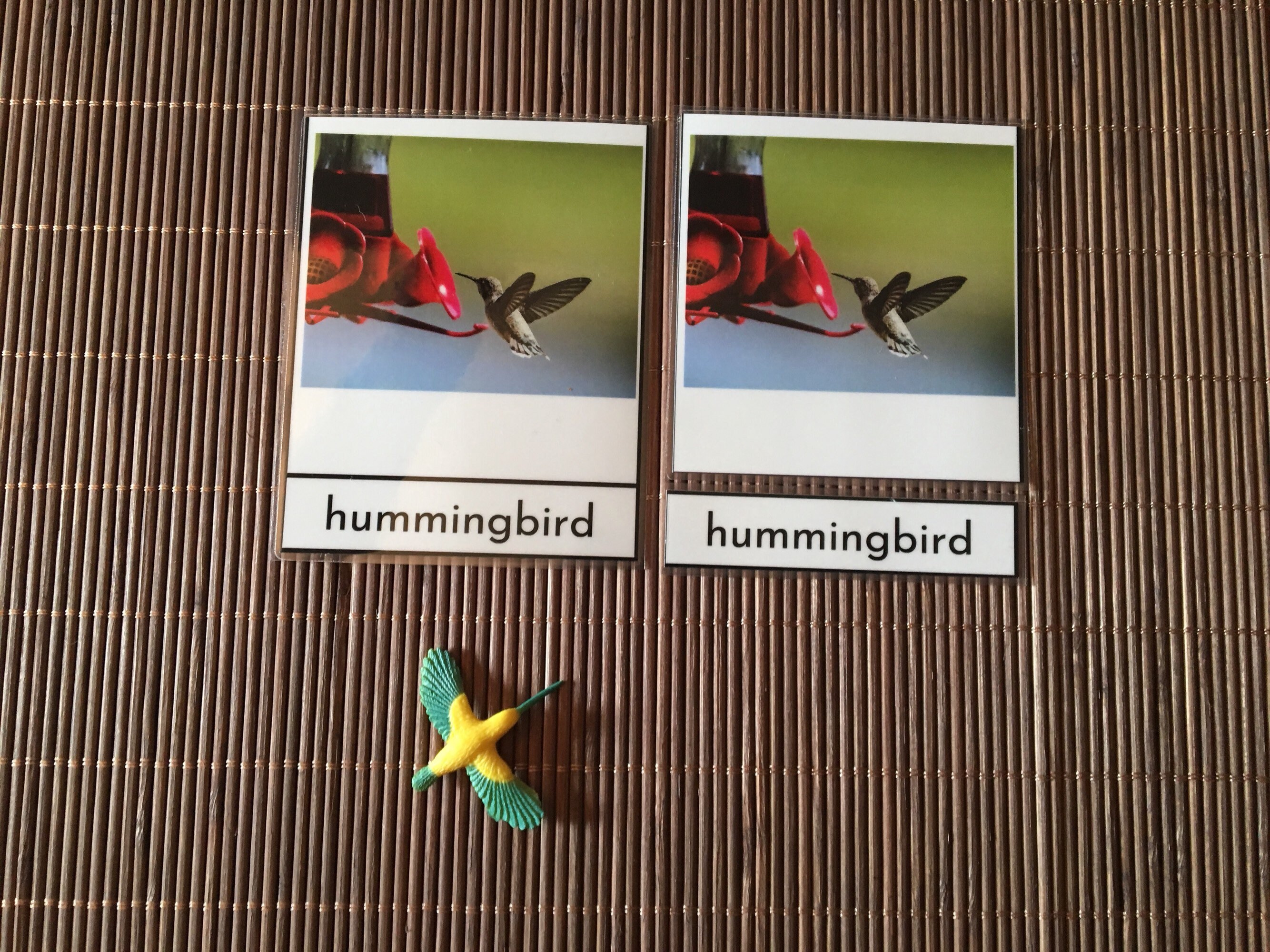 Montessori Birds Three Part Cards and Matching Objects - Etsy