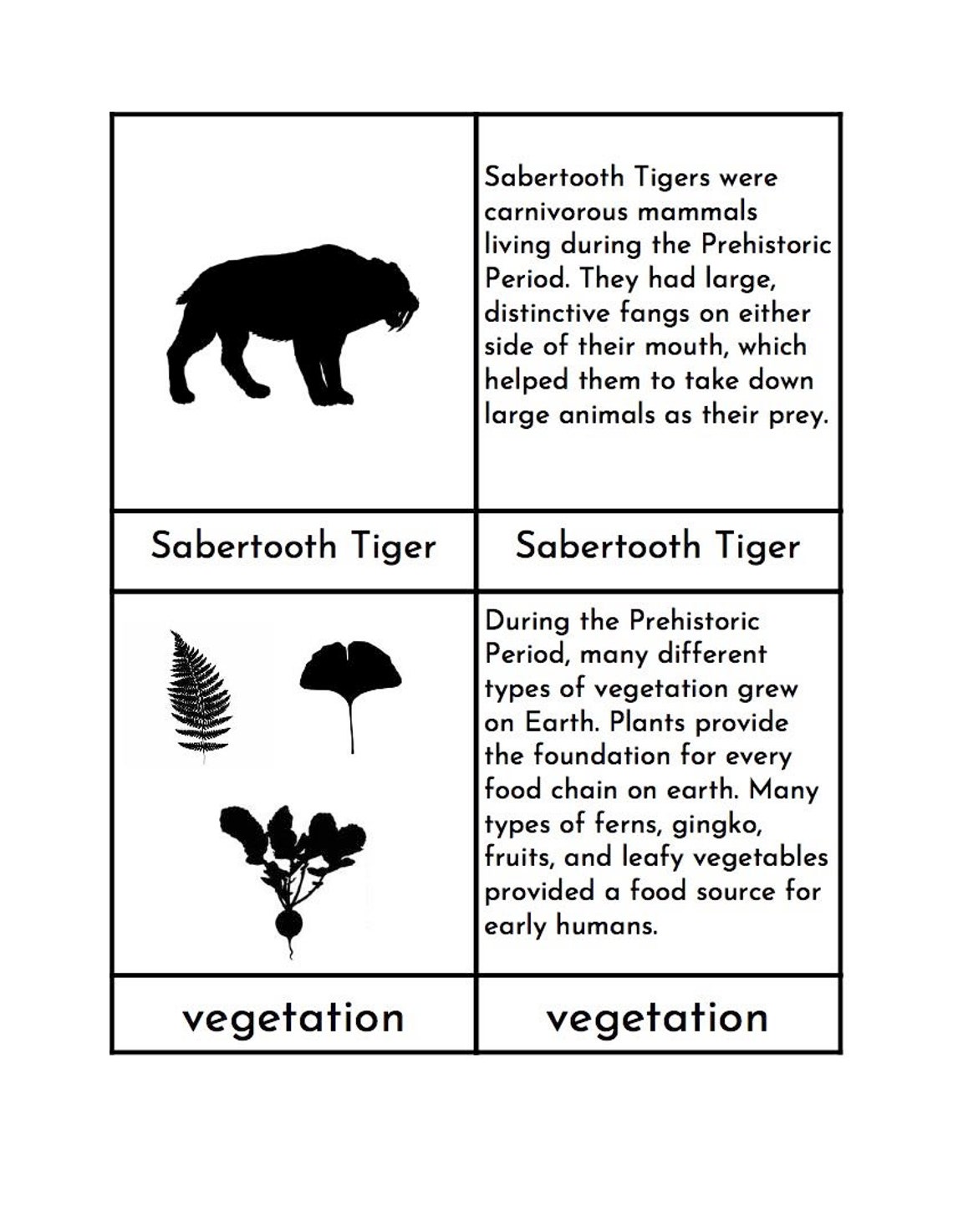 Montessori Prehistoric Food Chain Three/four Part Cards - Etsy