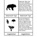 Montessori Prehistoric Food Chain Three/four Part Cards - Etsy