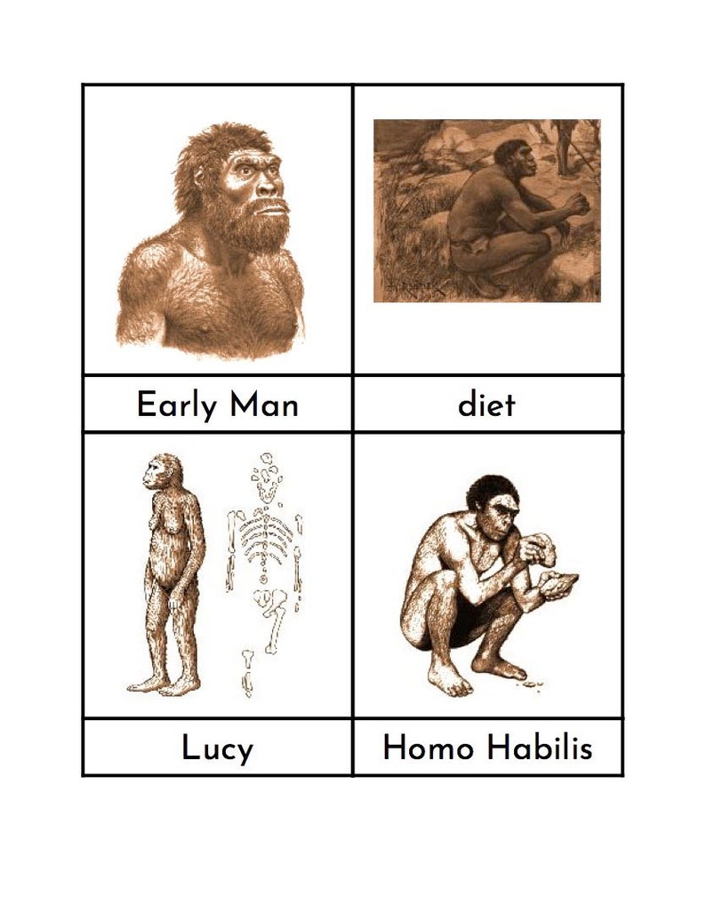 Montessori Prehistoric early Man Three/four Part Cards - Etsy