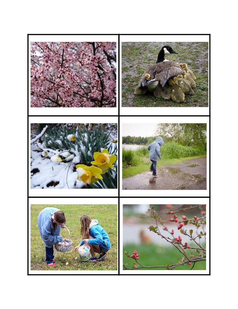 The Four Seasons Montessori Three Part Cards and Sorting Activity - Etsy