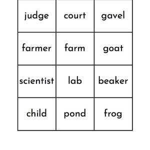 Montessori Word Study Nouns complete - Etsy