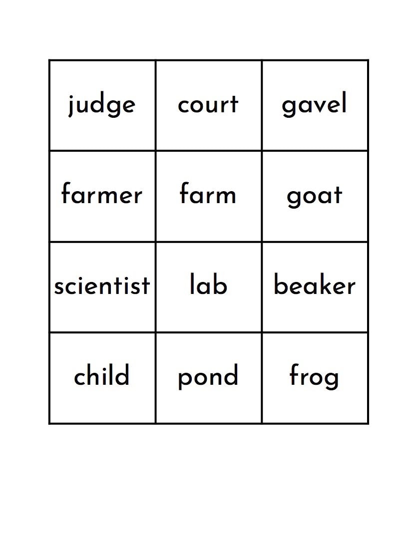 Montessori Word Study Nouns complete - Etsy