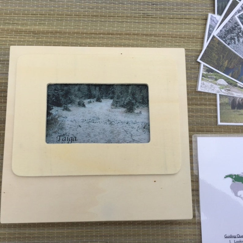 Biome Box Taiga Objects & Three/four Card Cards - Etsy