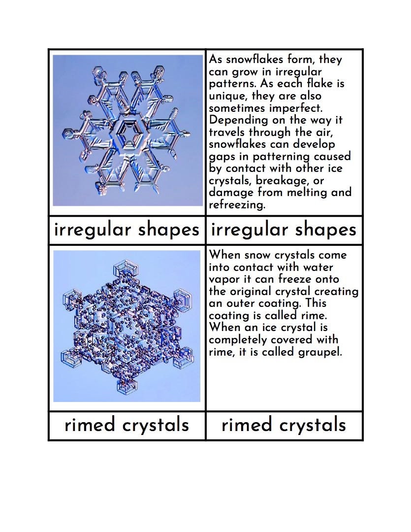 Formation and Types of Snowflakes Montessori Three/four Part Cards - Etsy
