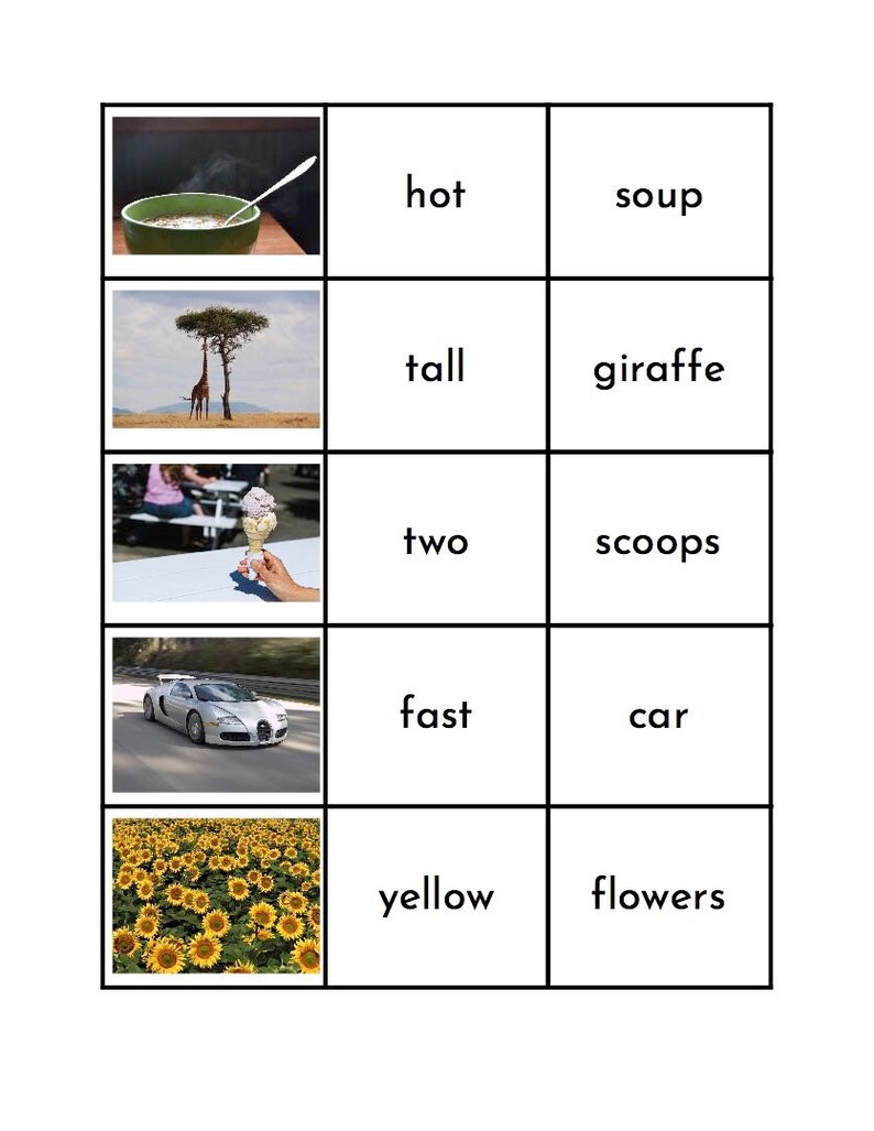 Montessori Adjective & Noun Matching - Etsy