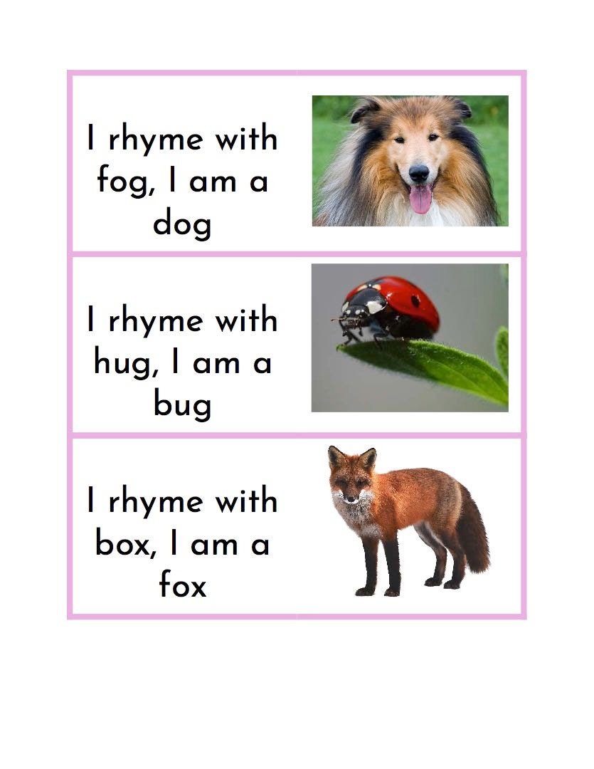 Montessori Pink Language Series Rhyming Riddle Pairs | Etsy