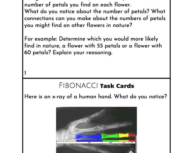 Fibonacci Task Cards - Etsy