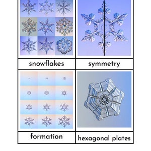 Formation and Types of Snowflakes - Montessori Three/four Part Cards - Etsy
