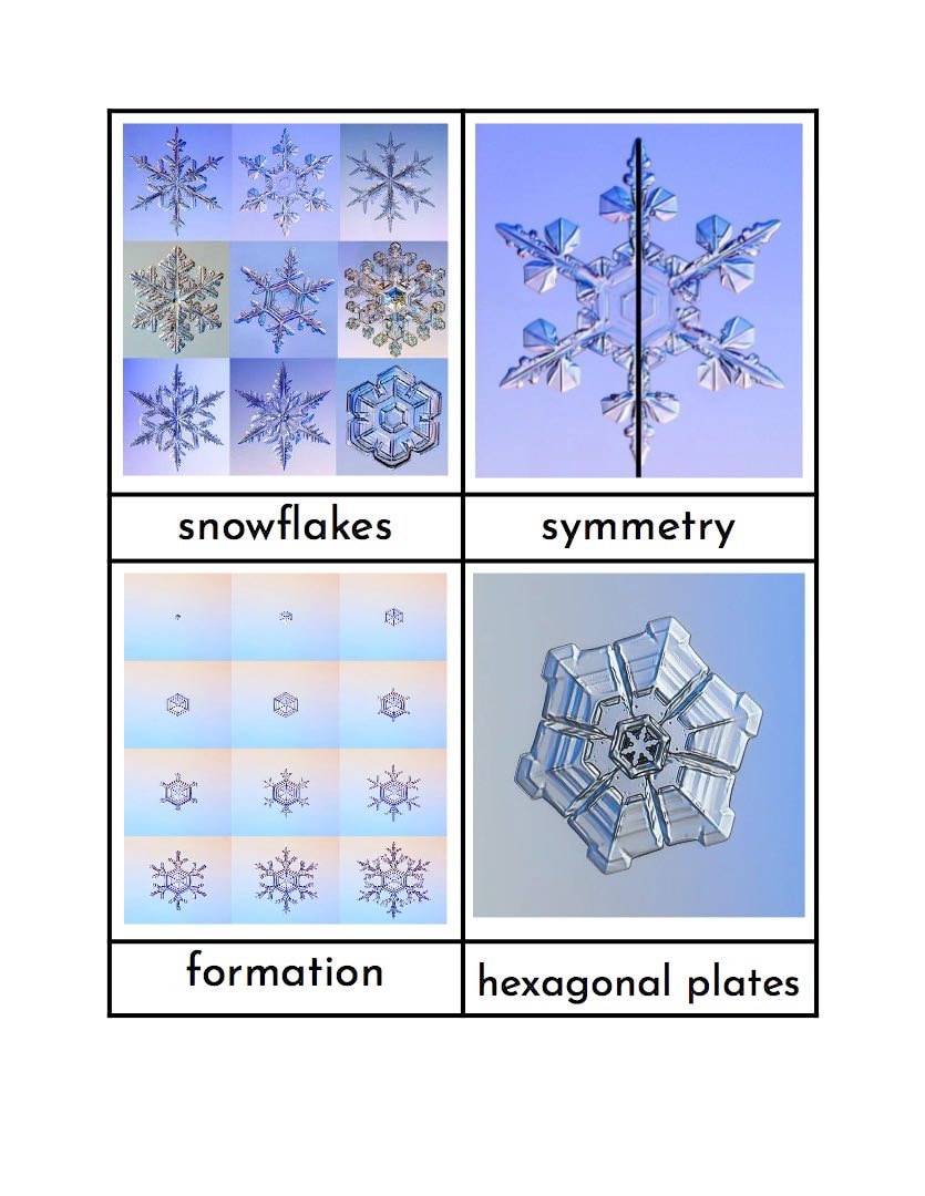 Formation and Types of Snowflakes Montessori Three/four Part Cards - Etsy