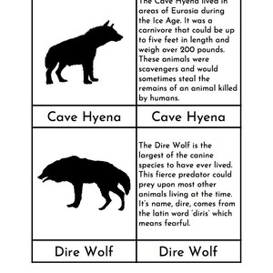 Montessori Prehistoric Food Chain Three/four Part Cards - Etsy