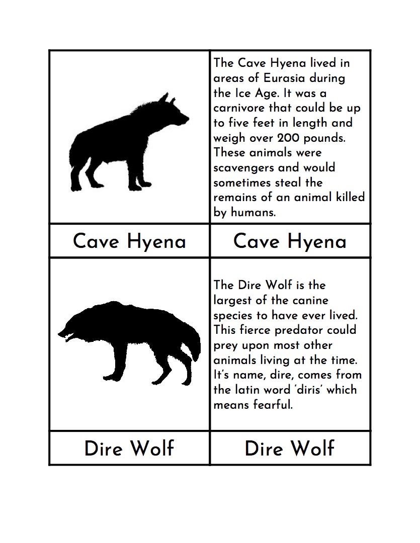 Montessori Prehistoric Food Chain Three/four Part Cards - Etsy