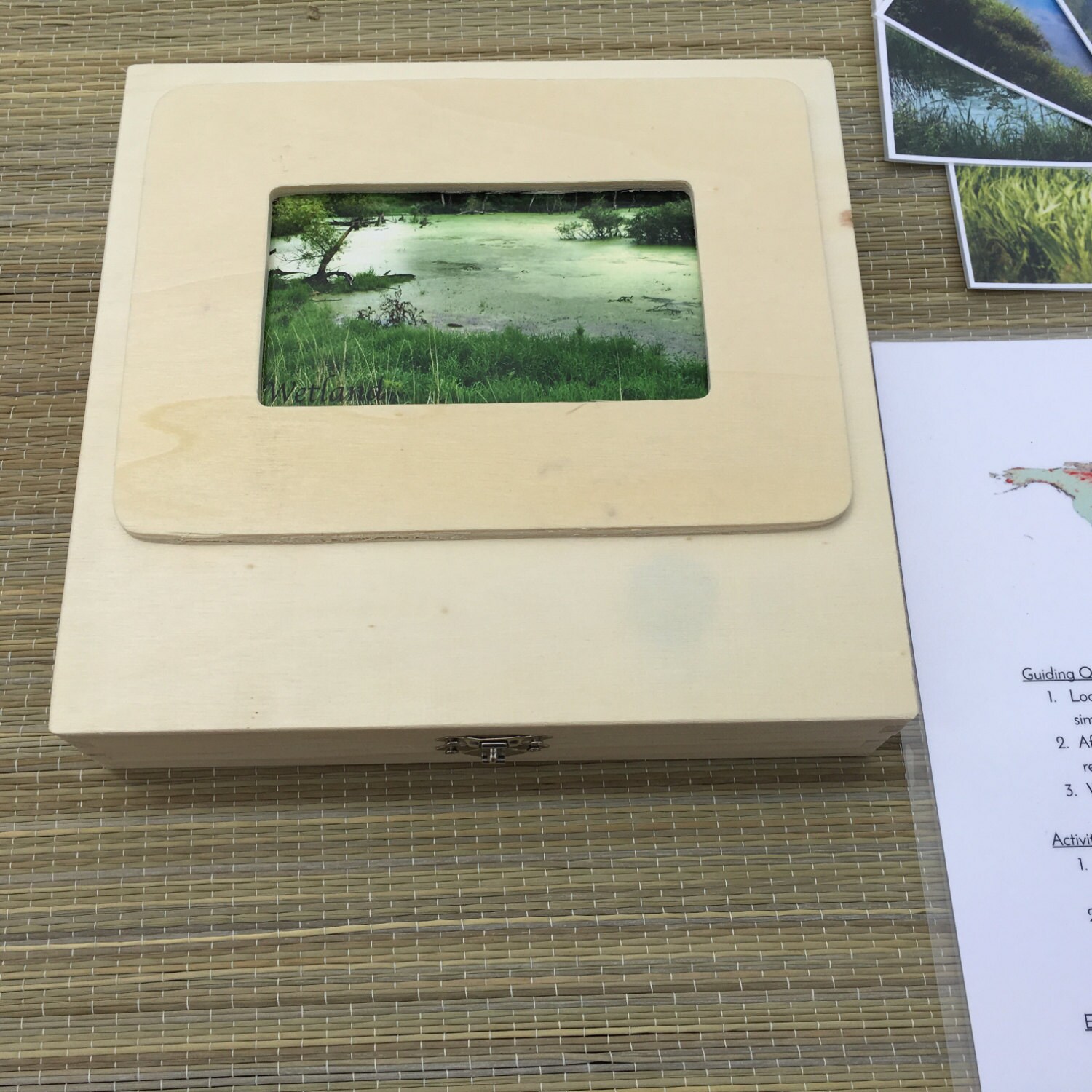 Biome Box Wetland Objects and Three/four Part Cards - Etsy