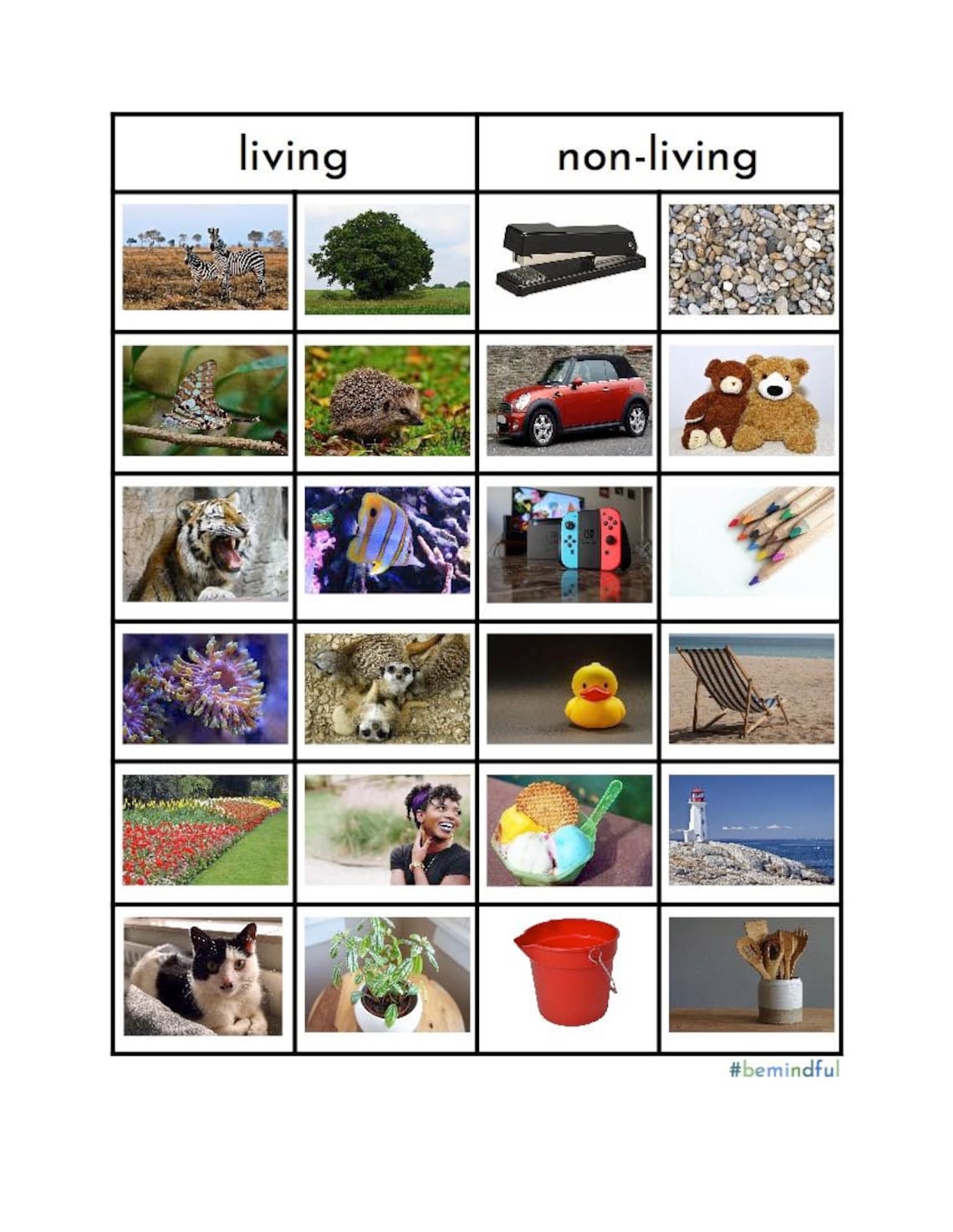Living and Non-living Sorting Cards - Etsy