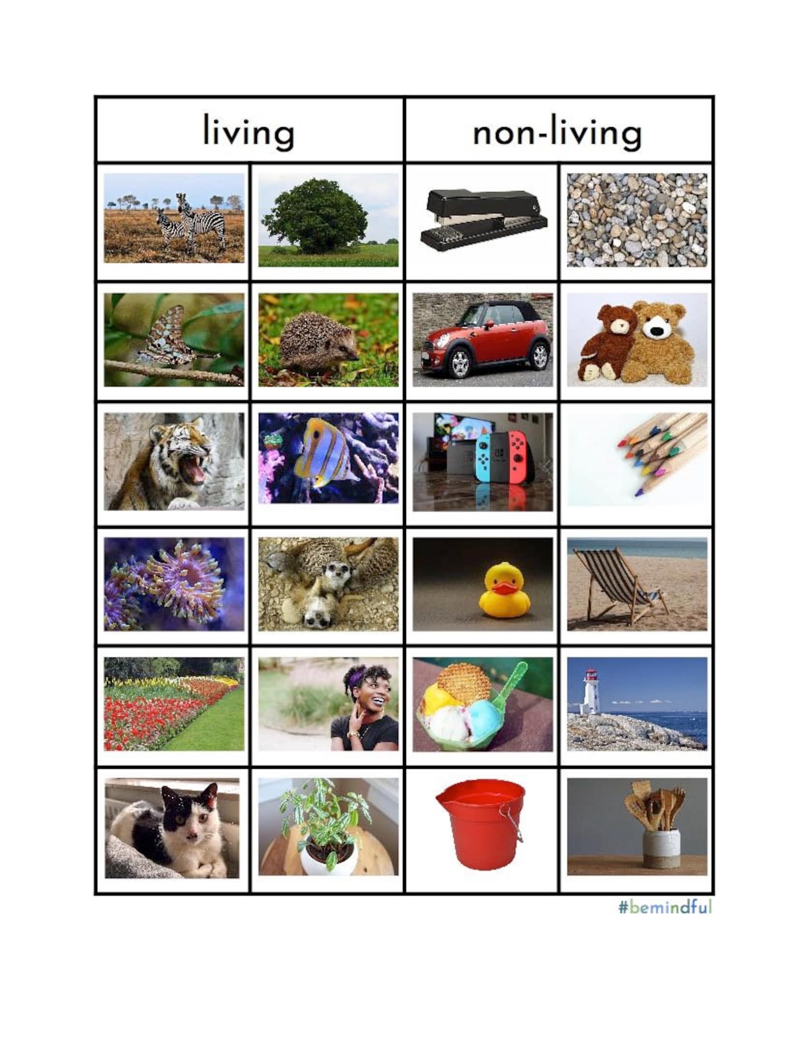 Living and Non-living Sorting Cards - Etsy