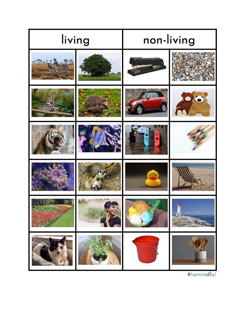 Living and Non-living Sorting Cards - Etsy Canada