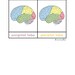 Lobes of the Brain Montessori Three/four Part Cards - Etsy