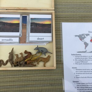 Biome Box Desert Objects & Three/four Part Cards - Etsy