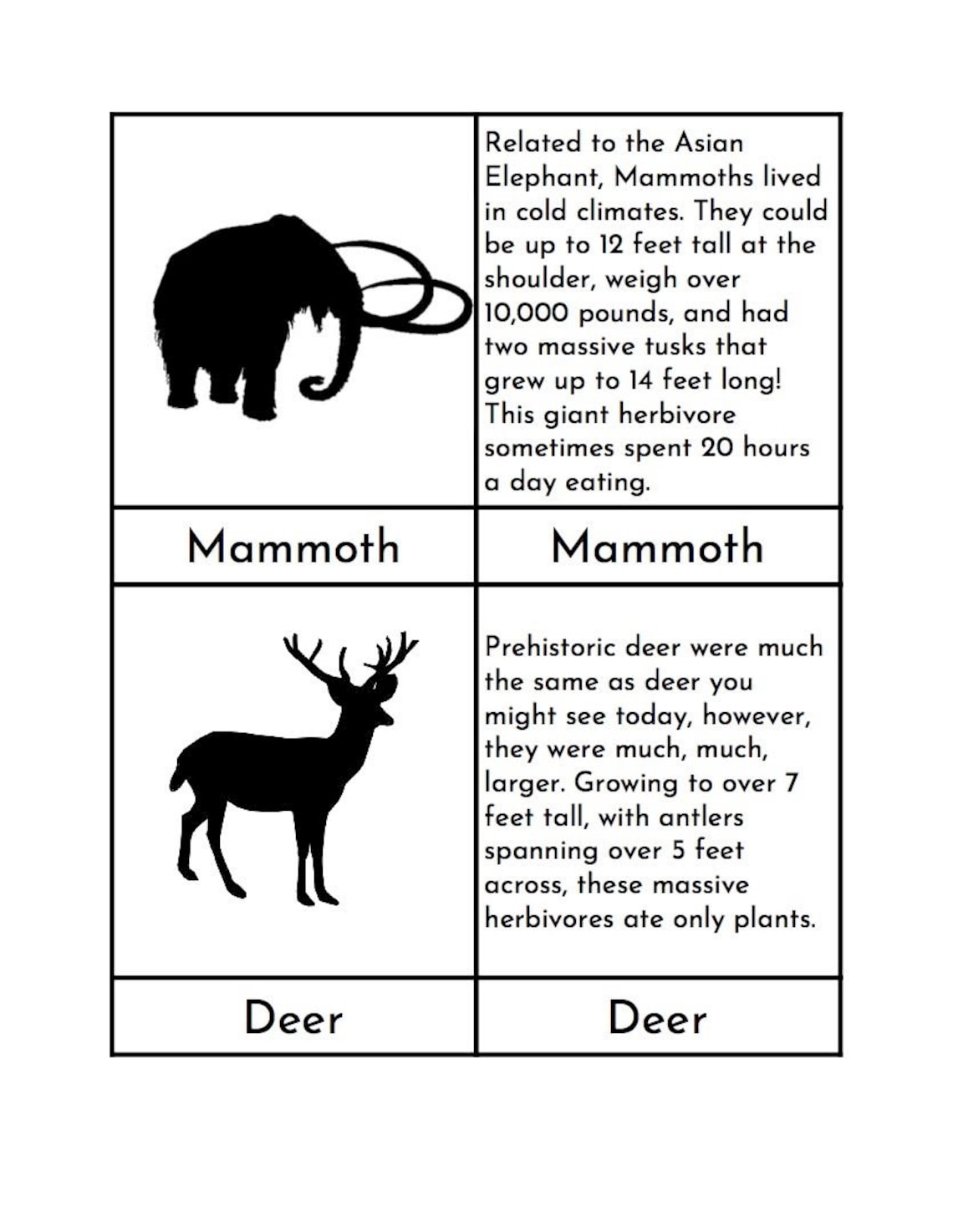 Montessori Prehistoric Food Chain Three/four Part Cards - Etsy