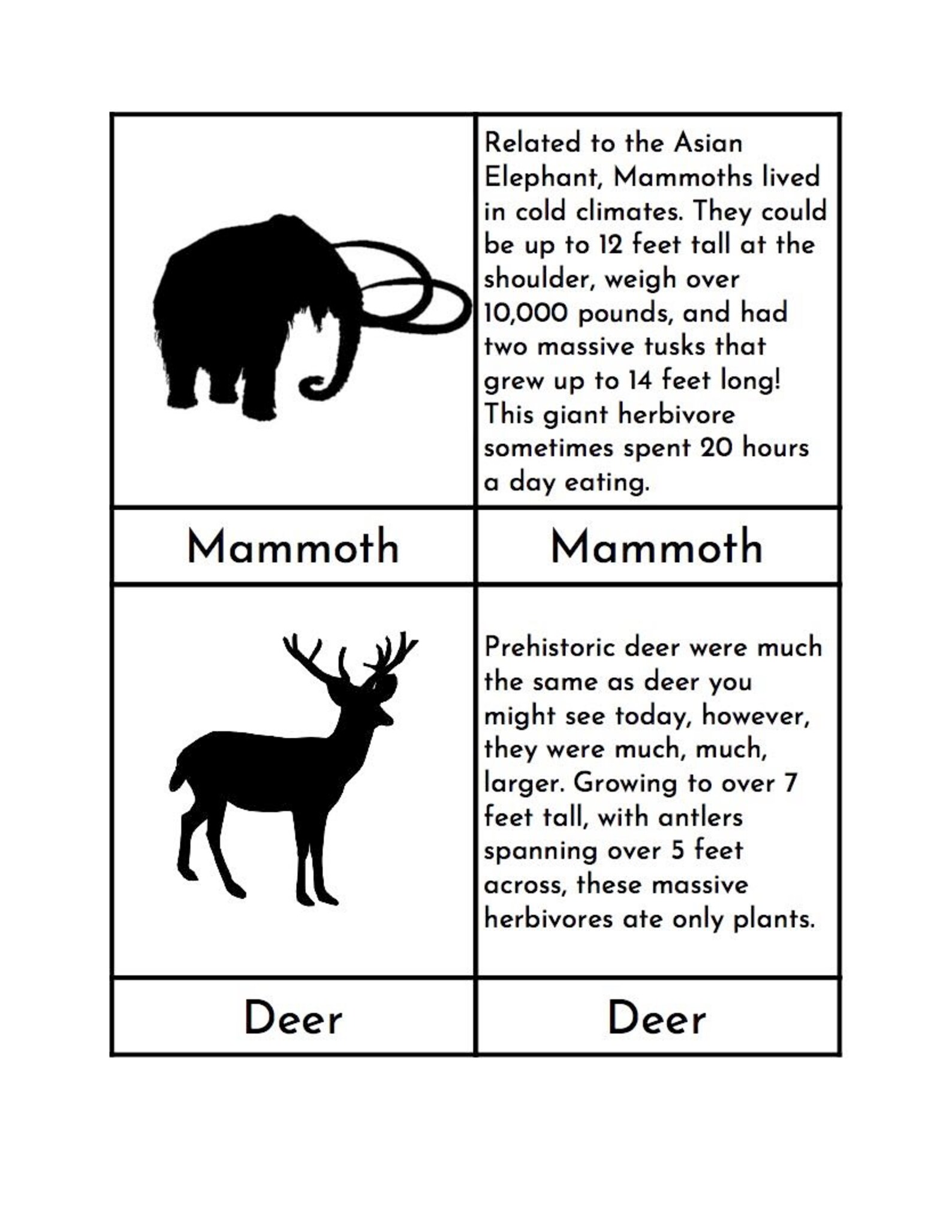 Montessori Prehistoric Food Chain Three/four Part Cards - Etsy