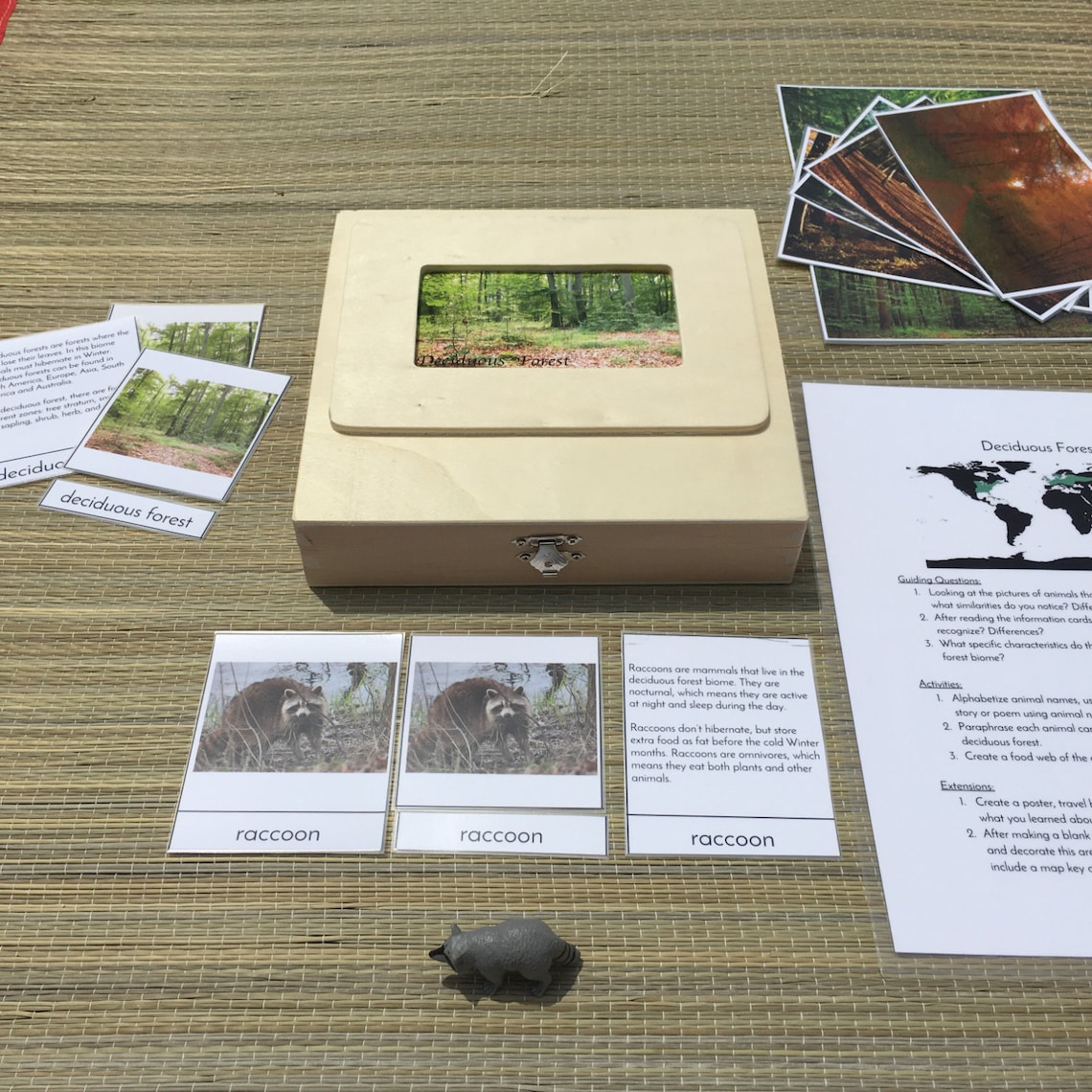 Biome Box Deciduous Forest Objects & Three/four Part Cards - Etsy