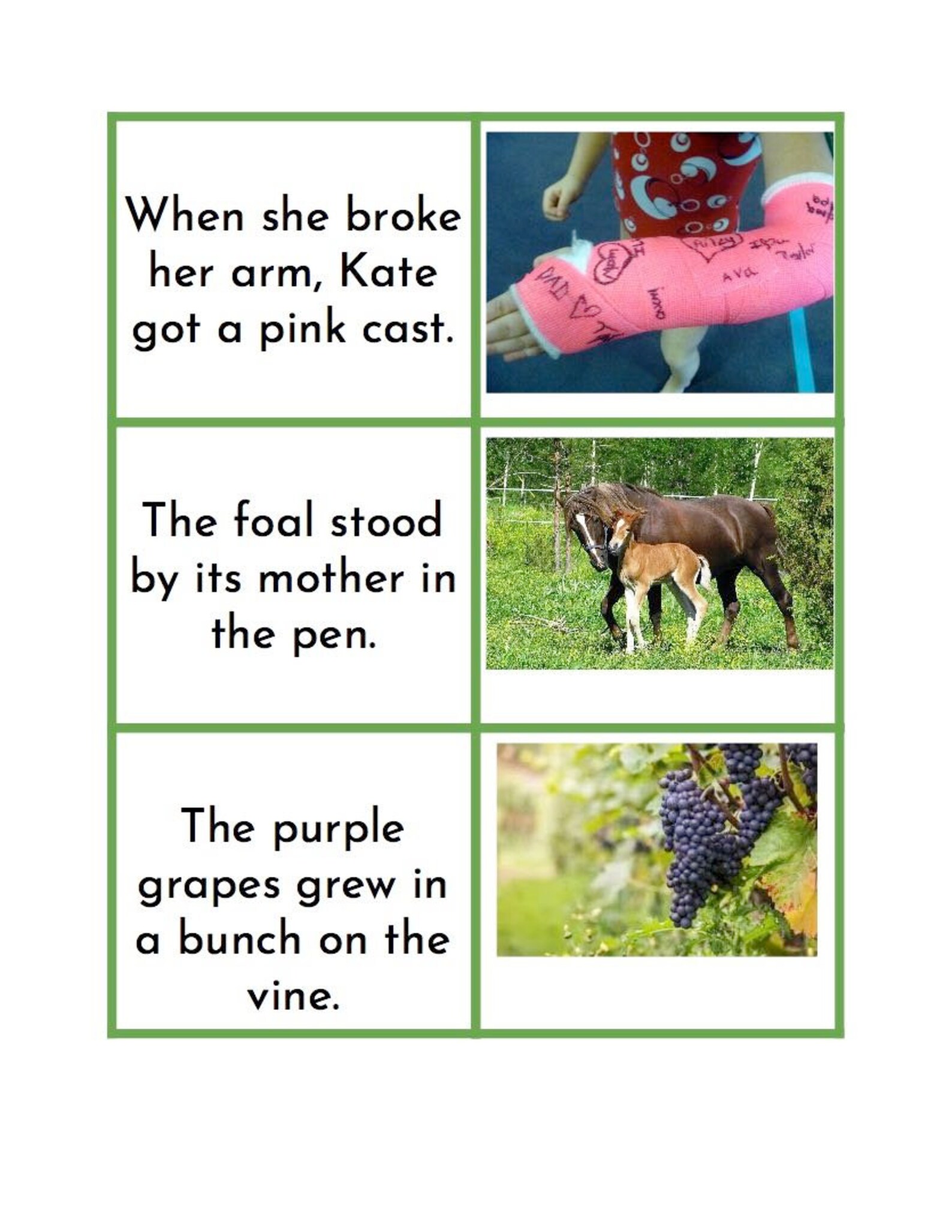 Montessori Green Language Series Sentence Matching - Etsy