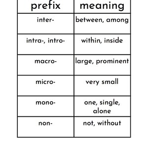 Montessori Prefix Matching Cards - Etsy