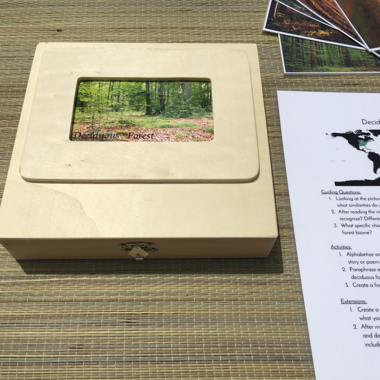 Biome Box Deciduous Forest Objects & Three/four Part Cards - Etsy