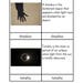 Montessori Solar Eclipse Three/four Part Cards - Etsy