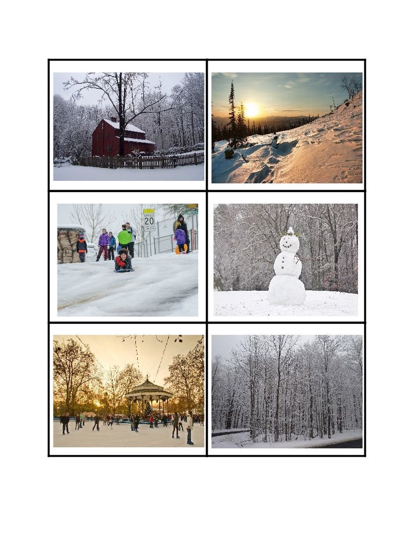 The Four Seasons Montessori Three Part Cards and Sorting Activity - Etsy