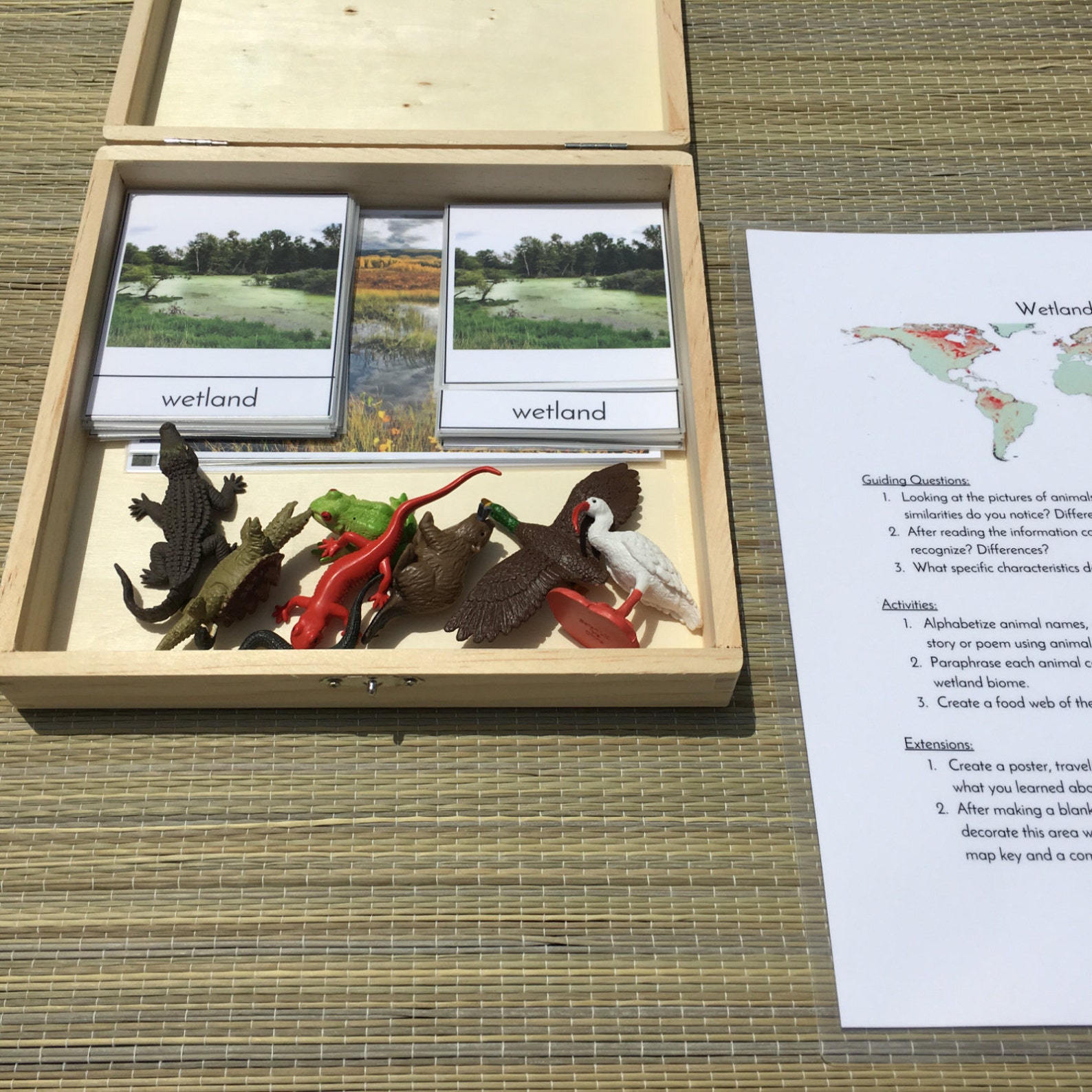 Biome Box Wetland Objects and Three/four Part Cards - Etsy