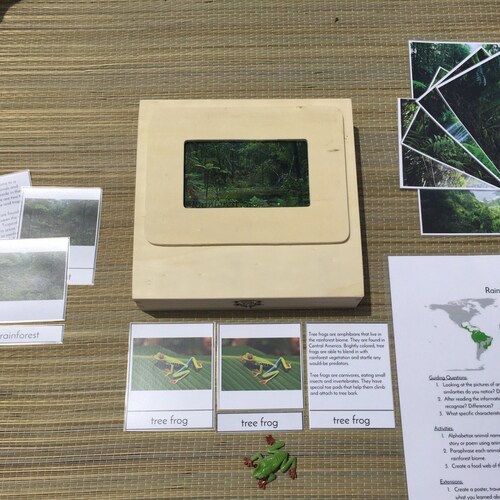 Biome Box Wetland Objects and Three/four Part Cards - Etsy