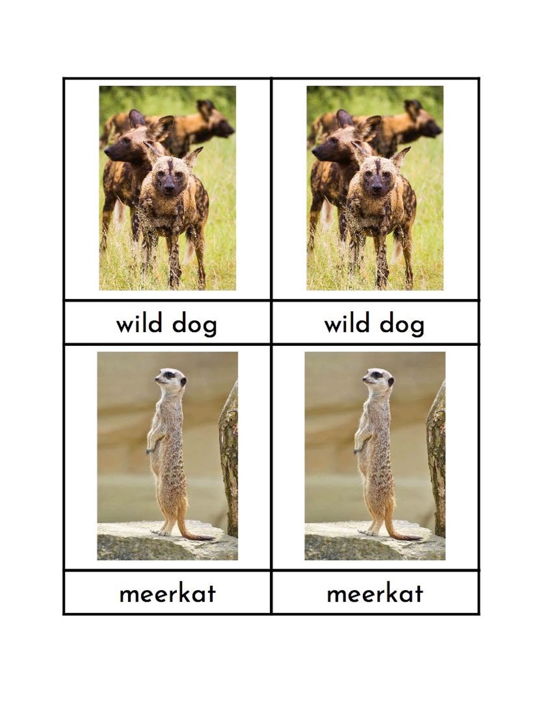 Montessori Mammals of Africa Three Part Cards - Etsy